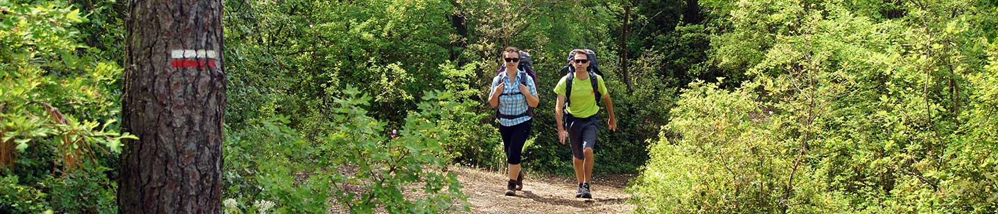 Découvrir les itinéraires de Grande Randonnée GR® - Fédération ...