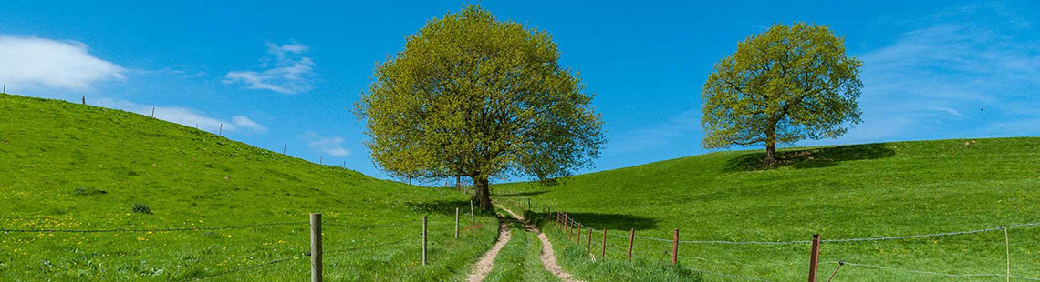 Découvrez les idées rando FFRandonnée - Fédération Française de la ...